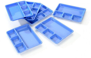 Neaten Plastic Unbreakable Food Plate with Partitions (4PS-Plate-Blue ...