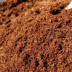 MOG LOW EC COCOPEAT POWDER 100% ORGANIC SOIL MANURE COIRPITH POWDER ...