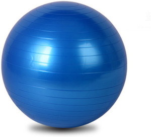 SanR Blue Gym Ball 85cm Gym Ball Price in India - Buy SanR Blue Gym ...