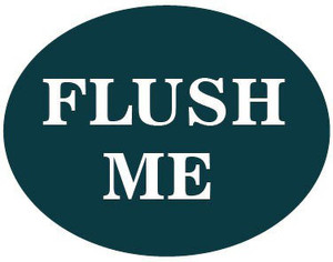 VVWV FLUSH ME SIGN STICKER Emergency Sign Price in India - Buy VVWV ...