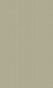 The Nature of Violent Storms: Buy The Nature of Violent Storms by ...