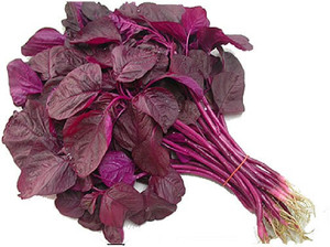 U-GROW INDIA RED CHOLAI Seed Price in India - Buy U-GROW INDIA RED ...