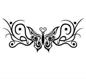 Aleena Care Sticker & Decal for Bike Price in India - Buy Aleena Care ...