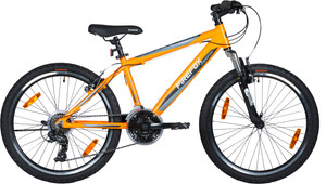 FIREFOX BIKES Firefox Cyclone 24-21 Speed 24 T (inch) Mountain Cycle ...