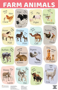Farm Animals : Charts: Buy Farm Animals : Charts by Om Books Editorial ...