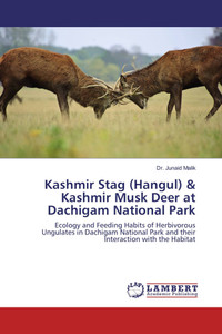 Kashmir Stag (Hangul) & Kashmir Musk Deer at Dachigam National Park ...