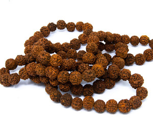 HULARA Rudraksha Panchmukhi Mala 108+1 Bodhi Seed with 11-12mm Beads ...