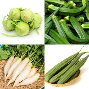 GreenVilla Knolkhol, Ladies finger, Radish and Ridge gourd Seed Price ...