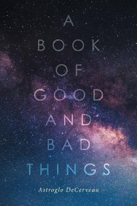 A Book of Good and Bad Things: Buy A Book of Good and Bad Things by ...