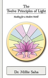 The Twelve Principles of Light: Buy The Twelve Principles of Light by ...