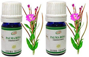 shriganga Palma Rose Essential oil (pack of 2) 5ml Price in India - Buy ...