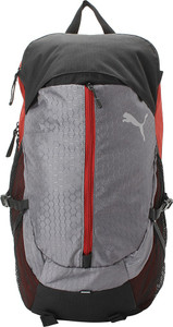 PUMA Apex Backpack 23 L Laptop Backpack Red Dahlia - Price in India ...