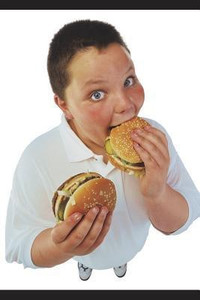 Gold Star Academy: Buy Gold Star Academy by Radin Jesse at Low Price in ...