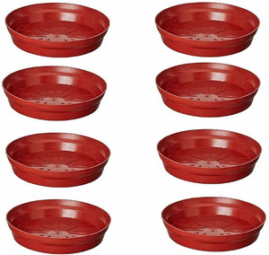 ZIMBLE Plate Planter Tray 12 inch Garden Pot Planter Gamla Bottom Plate ...