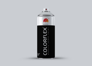 colorflex Grey Spray Paint 400 ml Price in India - Buy colorflex Grey ...