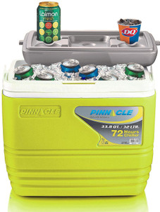 Pinnacle Thermo 32 L Plastic Primero 32 Ltr Ice Box, Keeps Cold Upto 72 ...