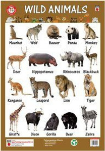 Wall Chart Pp - Wild Animals: Buy Wall Chart Pp - Wild Animals by Apple ...