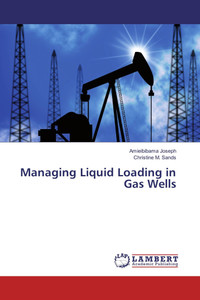 Managing Liquid Loading in Gas Wells: Buy Managing Liquid Loading in ...
