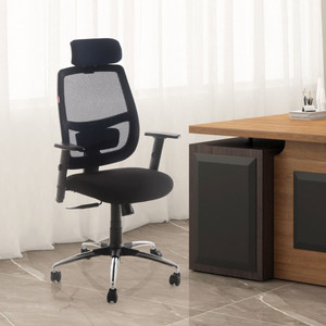 Durian Caliber Mesh Office Executive Chair Price in India - Buy Durian ...
