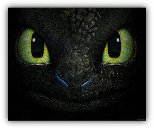 SKY DOT how to train your dragon toothless how to train your dragon ...