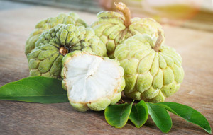 Paudha Custard Apple Seed Price in India - Buy Paudha Custard Apple ...