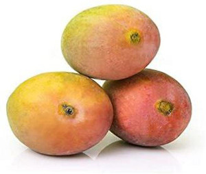 Mango Sindhura 12 Units Price in India - Buy Mango Sindhura 12 Units ...