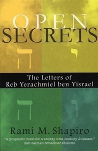 Open Secrets: Buy Open Secrets by Shapiro Rabbi Rami M. at Low Price in ...