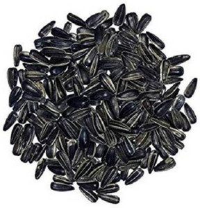 KLC Sunflower Seed Bird Food for Parrots , cockatiel, Munia, Silver ...