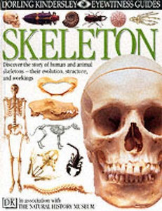 DK Eyewitness Guides: Skeleton: Buy DK Eyewitness Guides: Skeleton by ...