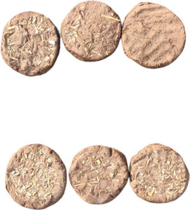 Corofitam Cow Dung/Upla/Kande/Cake/(Kandevk01)Gober Made In Cow Gober ...