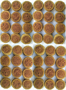 Dhananjya sambrani dhoop Cups Desi Cow Dung, ghee guggul, lobhan ...