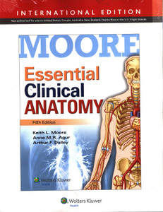 Essential Clinical Anatomy: Buy Essential Clinical Anatomy by Moore ...
