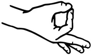 Aleena Care Sticker & Decal for Car & Bike Price in India - Buy Aleena ...