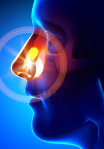 ENT Posters ,Diseases of Ear, Nose and Throat Middle Ear Infections ...