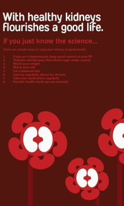 Human Kidney Anatomy Poster for Hospital Poster Nursing Home Poster ...