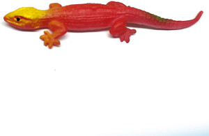 RVM Toys 1 Pc of Fake Lizard Scary House Gecko Rubber Practical Jokes ...