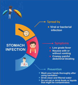 Stomach Wall Poster Understanding the Stomach Poster Wall|Clinic Poster ...