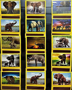Aranyak Hobby Rare set of 15 elephant theme empty match box for ...