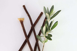 Midlumes Olive Stick Natural Tooth Brush organic Miswak Datun Soft ...