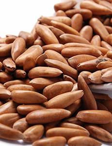 FOODCAN Chilgoza Dry Fruits Lebanon Pine Nuts With Shell (100) Pine ...