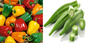 dreamseawaves BELL PEPPER MINI RED&Lady Finger (Bhindi) Okra Summer ...