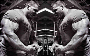 GYM Body Builders Wall Poster For Room With Gloss Lamination M16 Paper ...