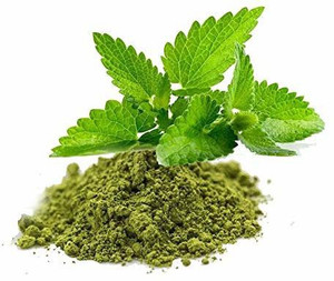 Nutrixia food Basil Leaf Powder/Tulsi Patta Powder / तुलसी पत्ता पाउडर ...