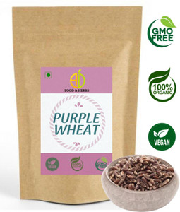 A D FOOD & HERBS ORGANIC PURPLE WHEAT EDIBLE 3 KGS Buckwheat Seeds ...