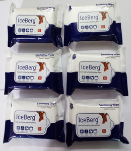 ICEBERG premium wipes IceBerg Hand Sanitizing & cleaning Alcohol Anti ...