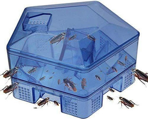 LIBRA Hot Cockroach Fall Box Bug Catcher Cockroach Killer House Kitchen ...