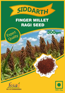 Greenry RAGI FINGER MILLET SEEDS (300 GM) Seed Price in India - Buy ...