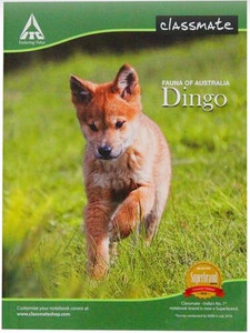 Classmate Stationery A4 Notebook Maths Ruled(24x18) 172 Pages Price in ...