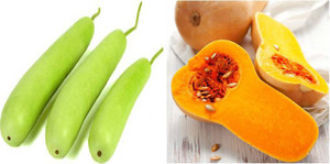 dreamseawaves Bottle Gourd (Dhari Loki)&SQUASH WALTHAM BUTTER NUT Seed ...