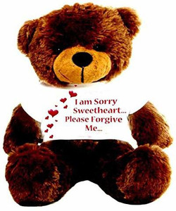 Hug 'n' Feel Soft Toys Big Teddy Bear Wearing "I am Sorry Sweetheart ...